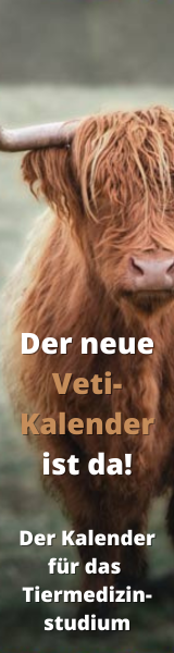 Vetion.de