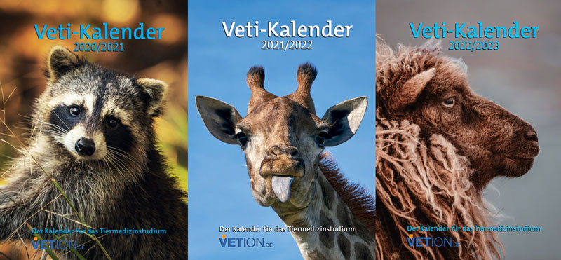 transmammär - www.vetion.de